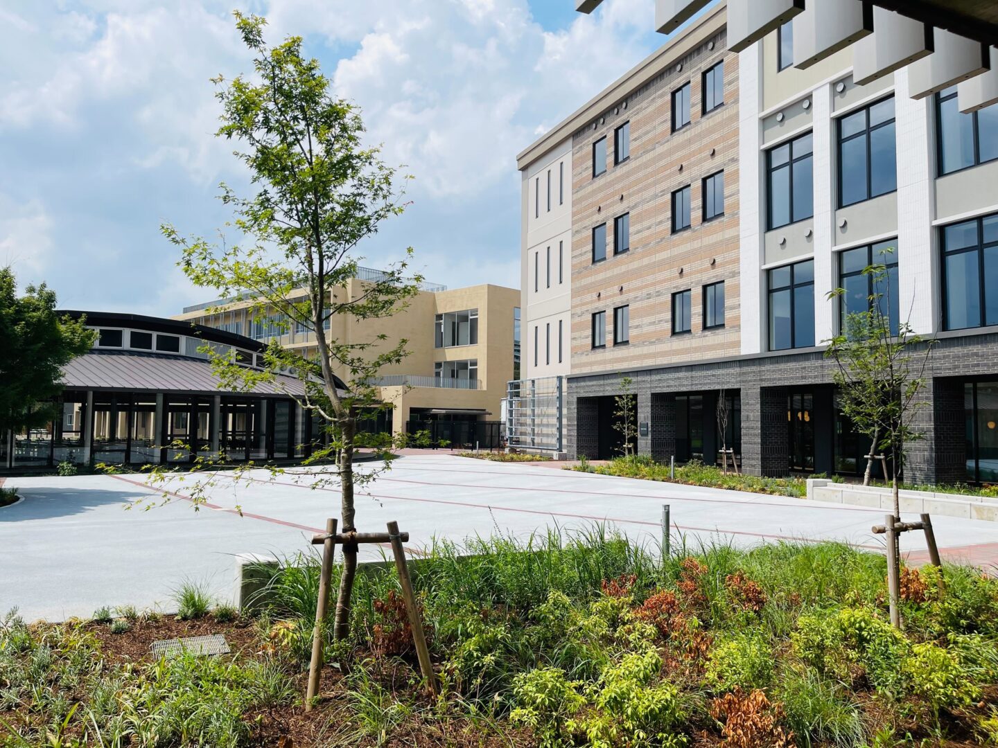 Rugby School Japan Awarded “Beacon School” Status by Council of British ...